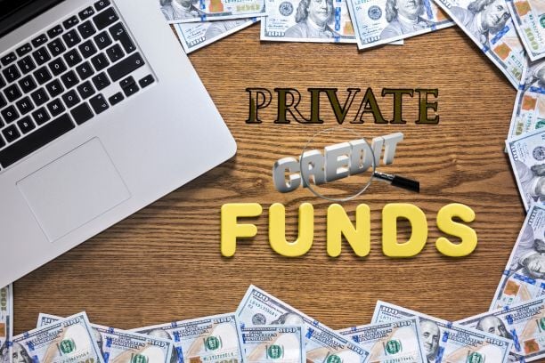 How Private Credit Funds Manage Default Risk